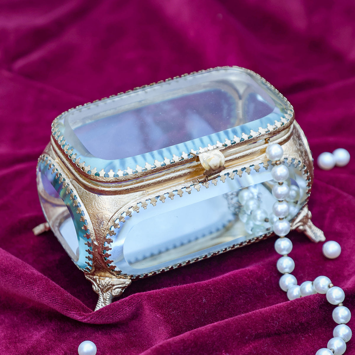 Glass Box – Revive Home